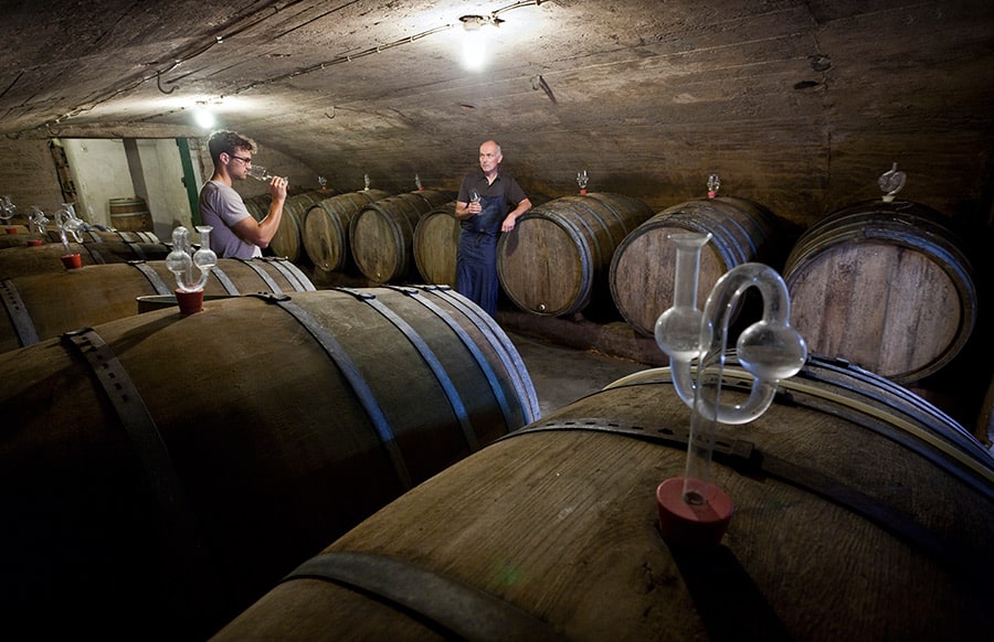 Trockene Moselweine aus der Region dominieren deutschen Riesling Cup